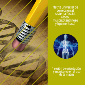 Orientación en el uso de matriz universal – Sistema fascial (óseo ...